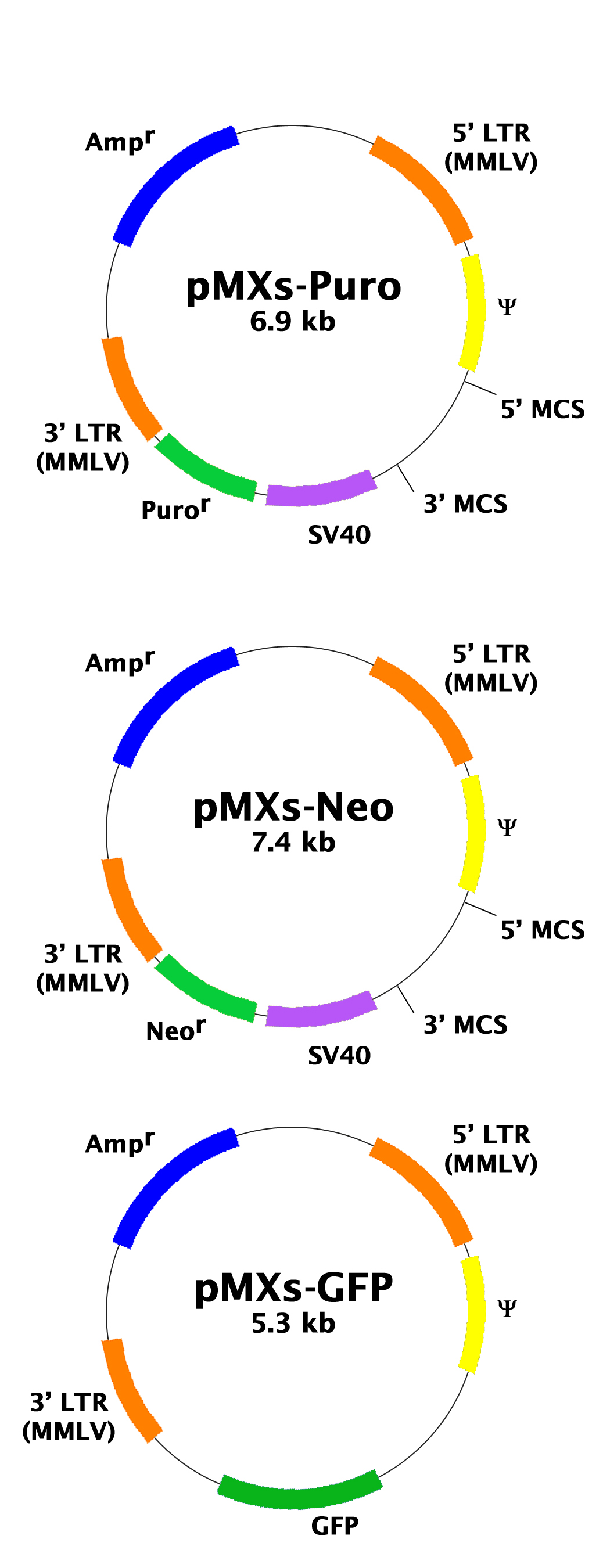 Ecotropic Retroviral Expression System, Universal